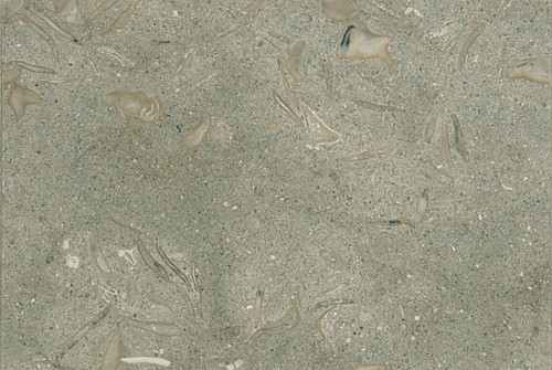 Olive Green | Traxtone