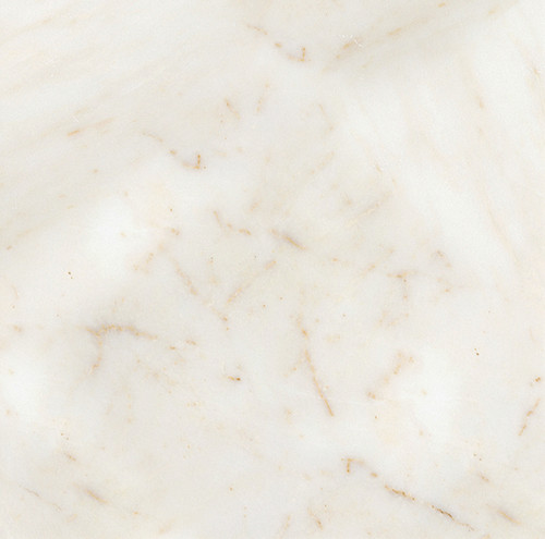 Sunflower | Traxtone