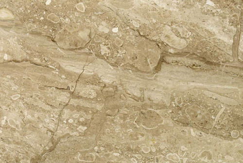 Breccia Sarda | Traxtone