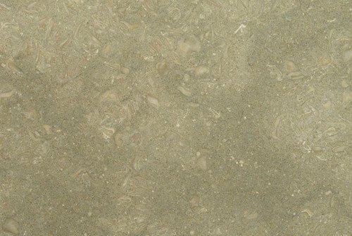 Fossil Green | Traxtone