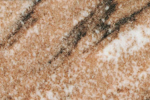 Rosa Brasile | Traxtone