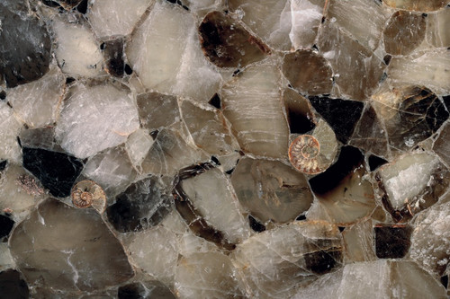 Smoky Quartz Light | Traxtone