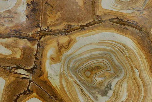 Stonewood | Traxtone