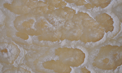 Butterfly Onyx | Traxtone