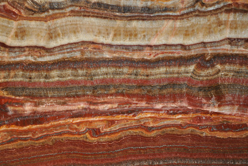 Onice Fantastico | Traxtone