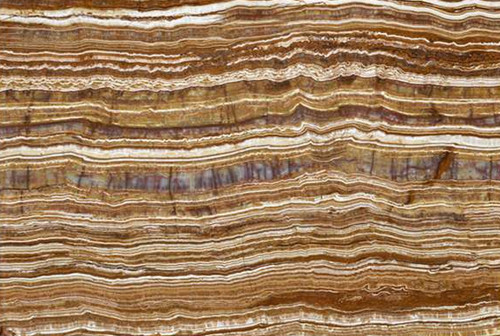 Onice Tiger | Traxtone