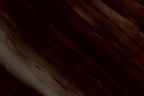 Elegant Brown | Traxtone