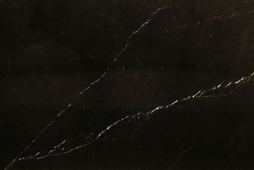 Black Motion | Traxtone