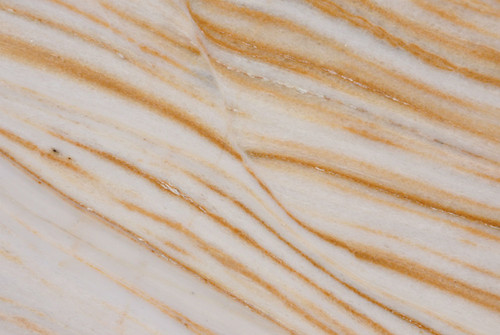 Fantasy Gold | Traxtone