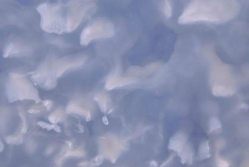 Onice Azul | Traxtone