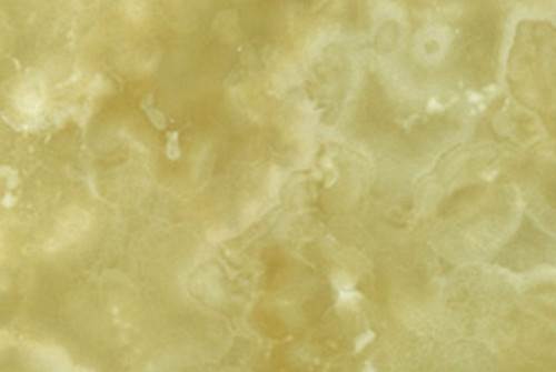 Bottle Green | Traxtone