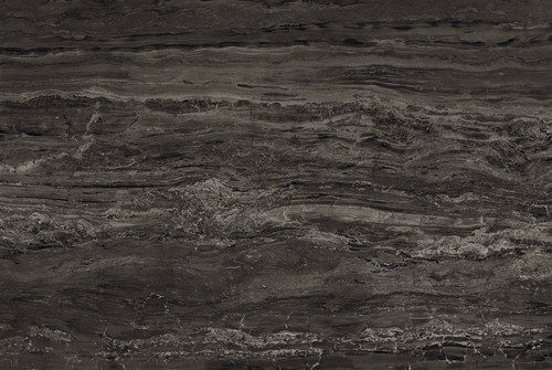 Absolute Brown | Traxtone