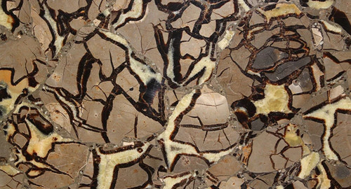 Leopard Grain | Traxtone