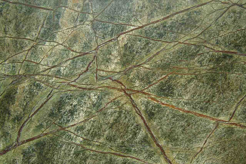 Rainforest Green | Traxtone