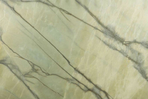 Blue Roma | Traxtone