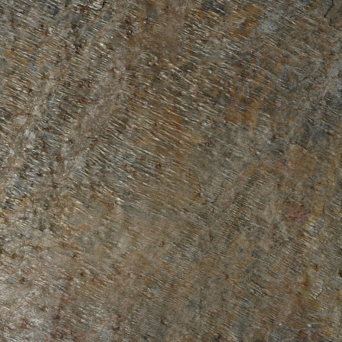 Gold Green | Traxtone