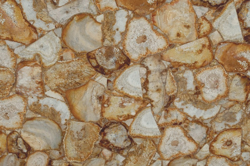 Indonesian Coral | Traxtone