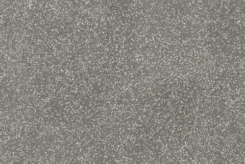 Terrazo Grey | Traxtone