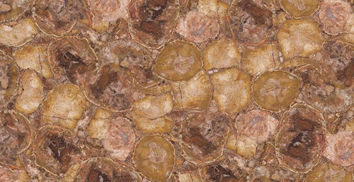 Round Petrified | Traxtone