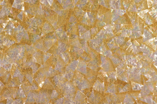 Golden Mother of Pearl | Traxtone