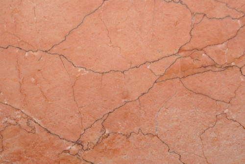 Rosa Orchidea | Traxtone