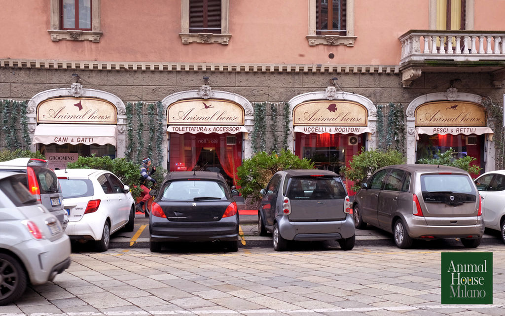 Negozio di animali milano | Animal House Milano | Milano