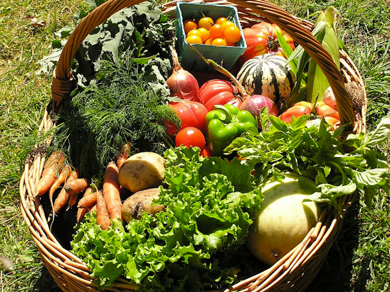 Eat Your Vegetables