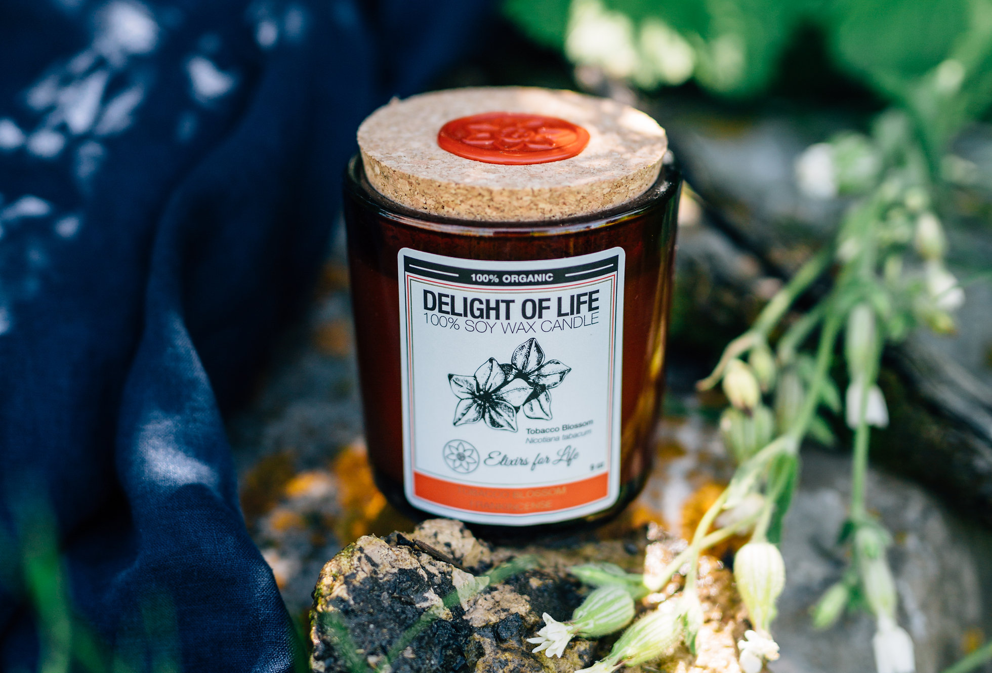 Delight of Life | elixirsforlife
