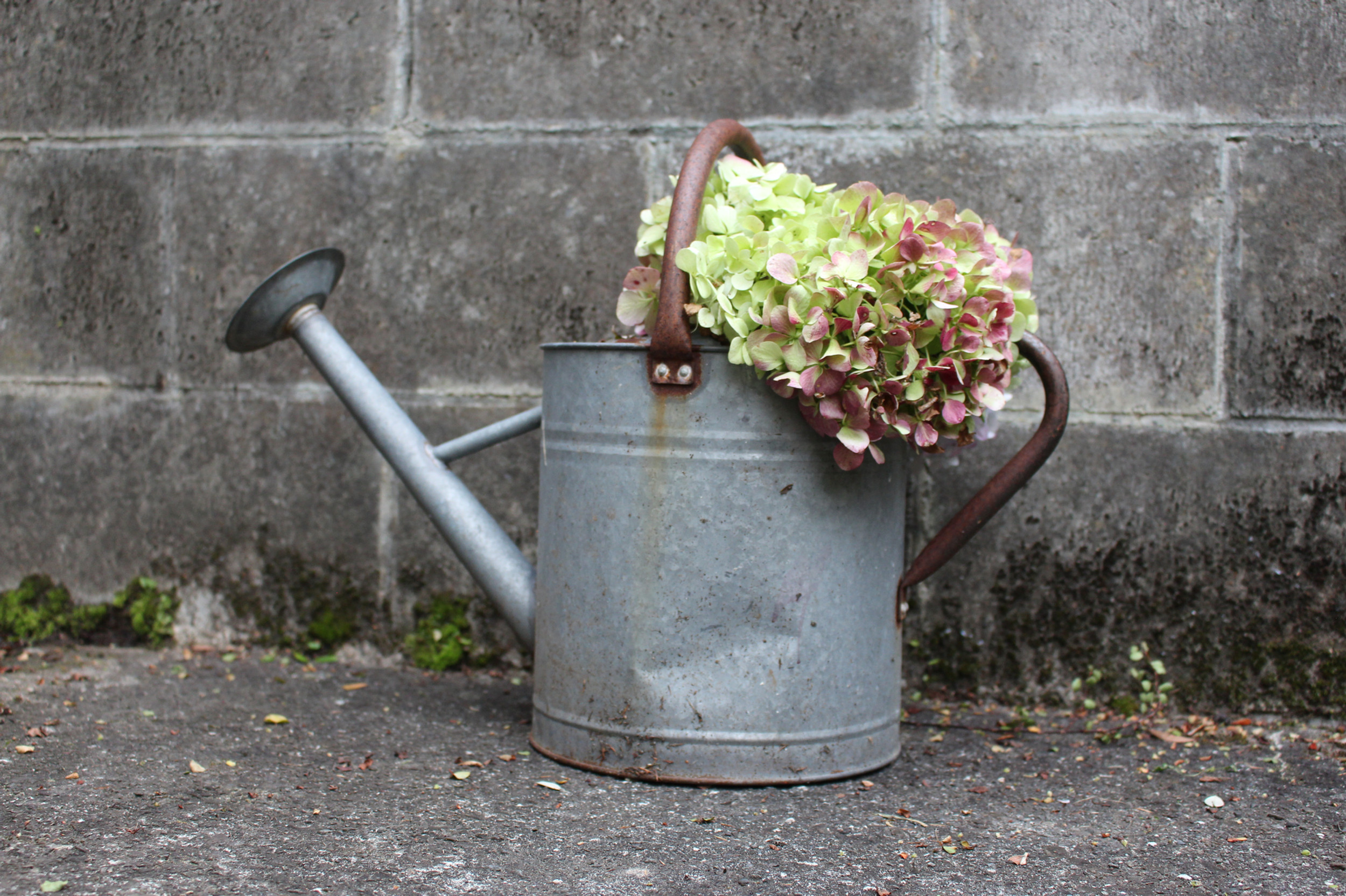 About Moat Landscape Design | Consultant in Upper Hutt, NZ