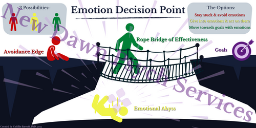 Emotion Decision Point Infographic | New Dawn Psych