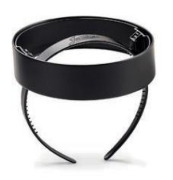 GRADUATION CAP COMPANION | NYgrad