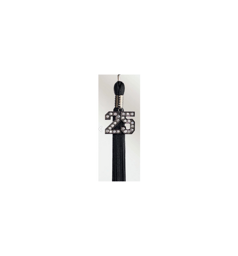 SHADOW STATUS TASSEL | NYgrad