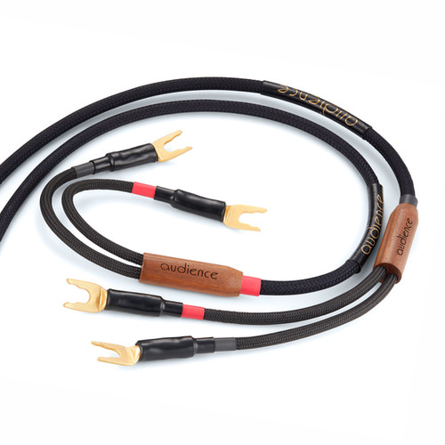 Audience frontRow Loudspeaker Cables (Pair) | TEK AUDIO