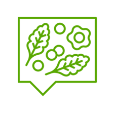 Services Page | Purity Nutrition