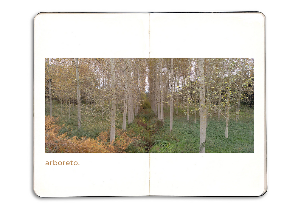 Arboreto. Cuaderno de viaje