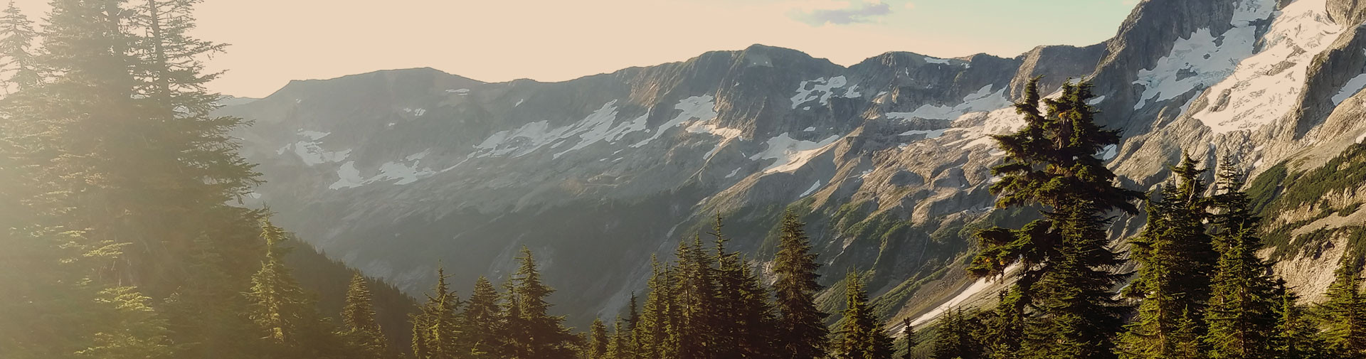 Shop | Fearless Designs