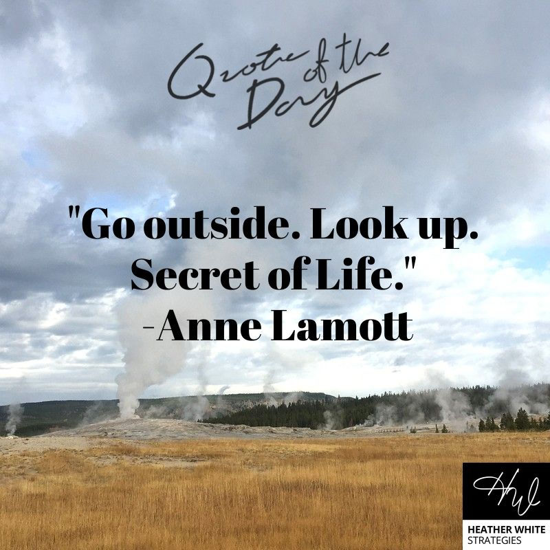Quote of the Day: Secret of Life