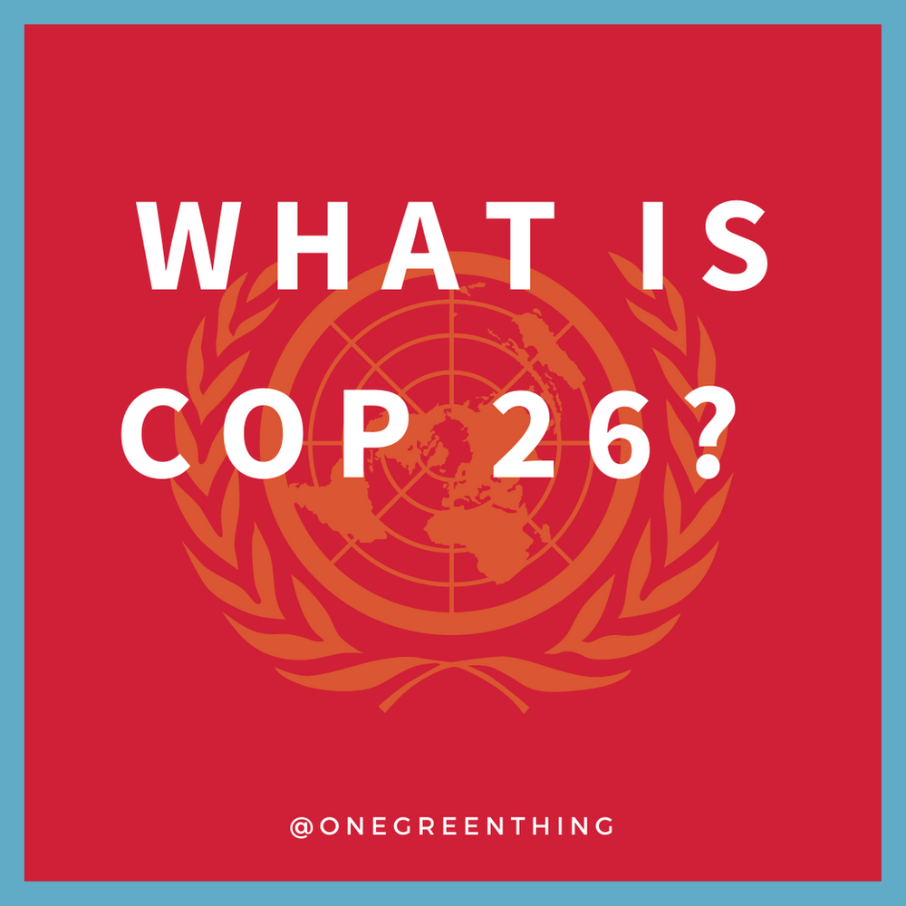 Why You Should Care about COP 26