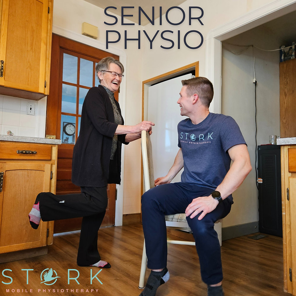 Stork Mobile Physiotherapy: Empowering Seniors with In-Home Care
