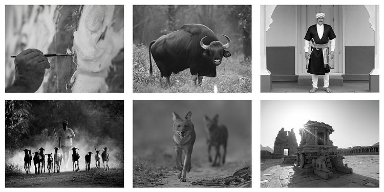 In Retro by Evolve Back Resorts | Photographic Campaign | Film Photography