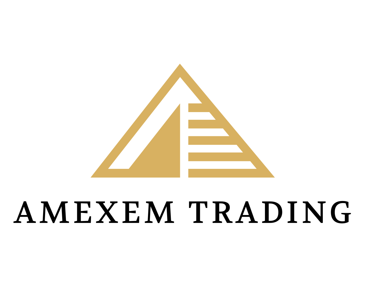 Precious Metals & Stones | Amexem Trading Group | Dubai, UAE