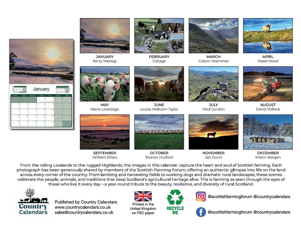 Country Calendars | Equestrian Calendar 2026 | UK