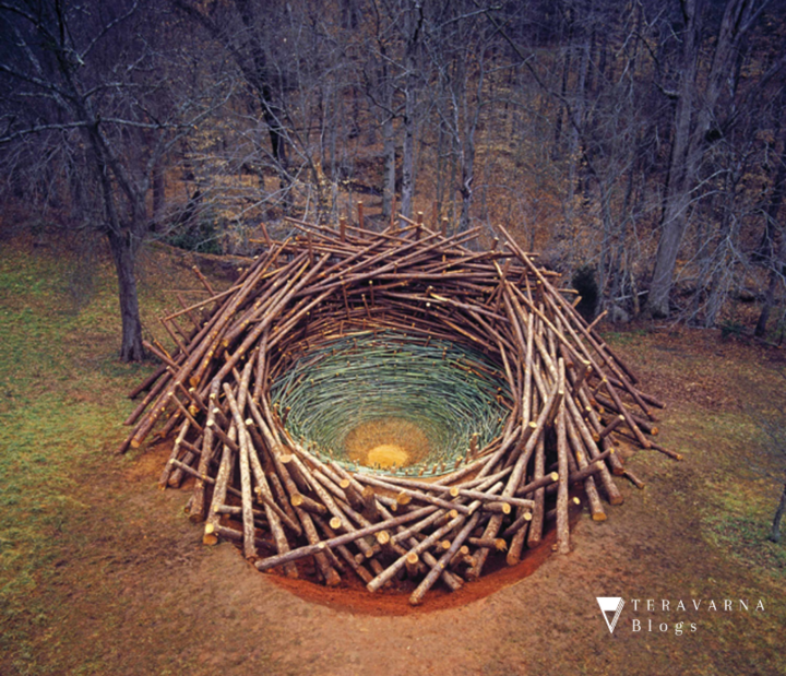 Learn about rare environmental art and installations.
