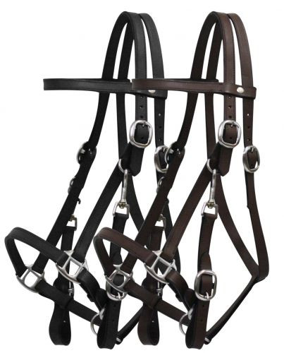Leather Halter Bridle Combo w/Reins | Embry Family Horses
