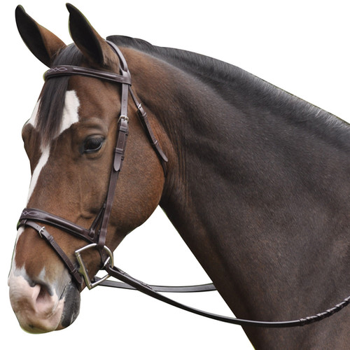 Exselle Elite Plain & Fancy Bridle | Embry Family Horses