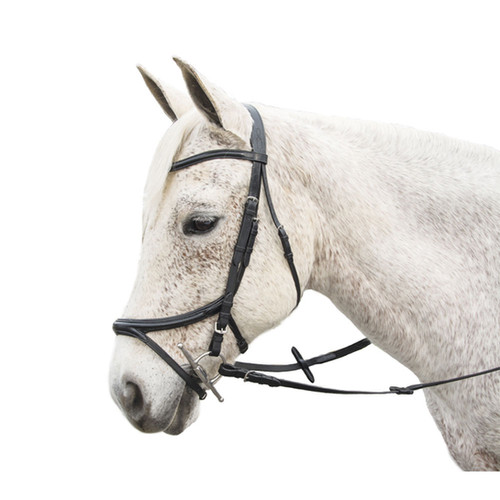 Exselle Elite Plain Raised Jumper Bridle | Embry Family Horses