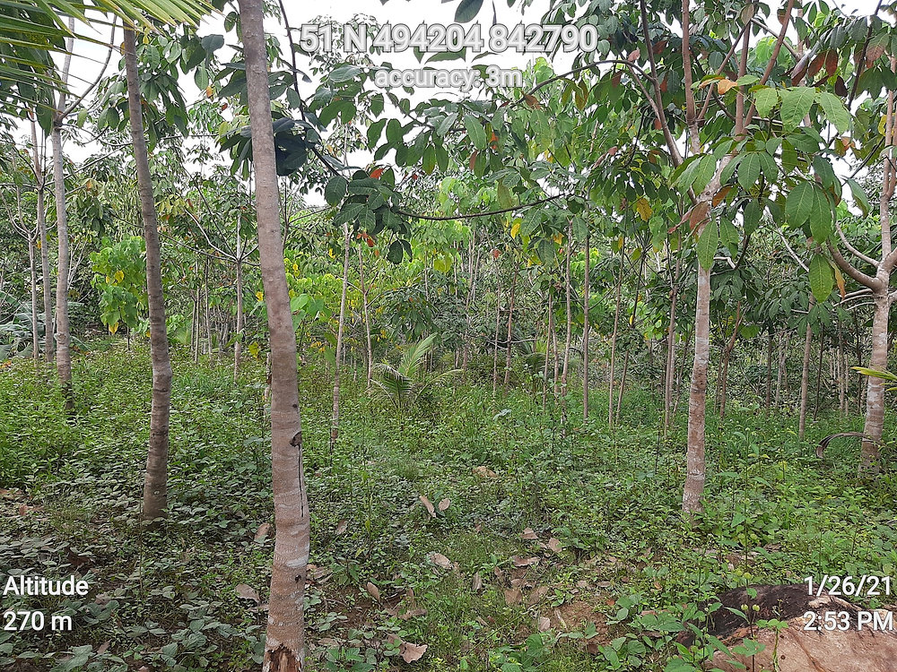 National Greening Program (NGP) Third-Party Validation of CY-2016