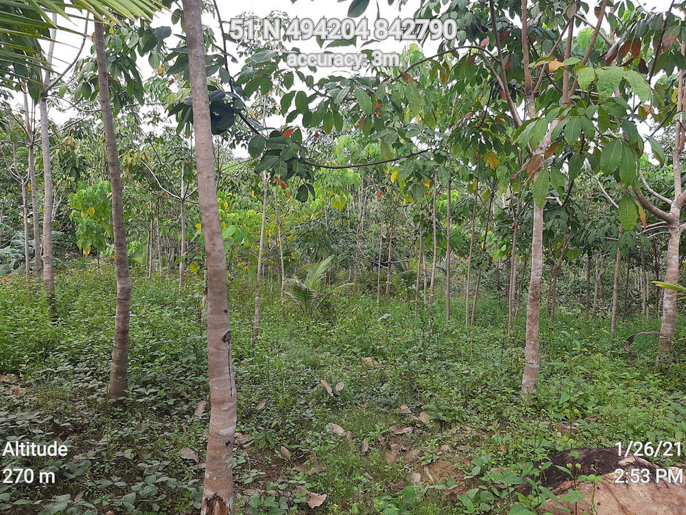 National Greening Program (NGP) Third-Party Validation of CY-2016