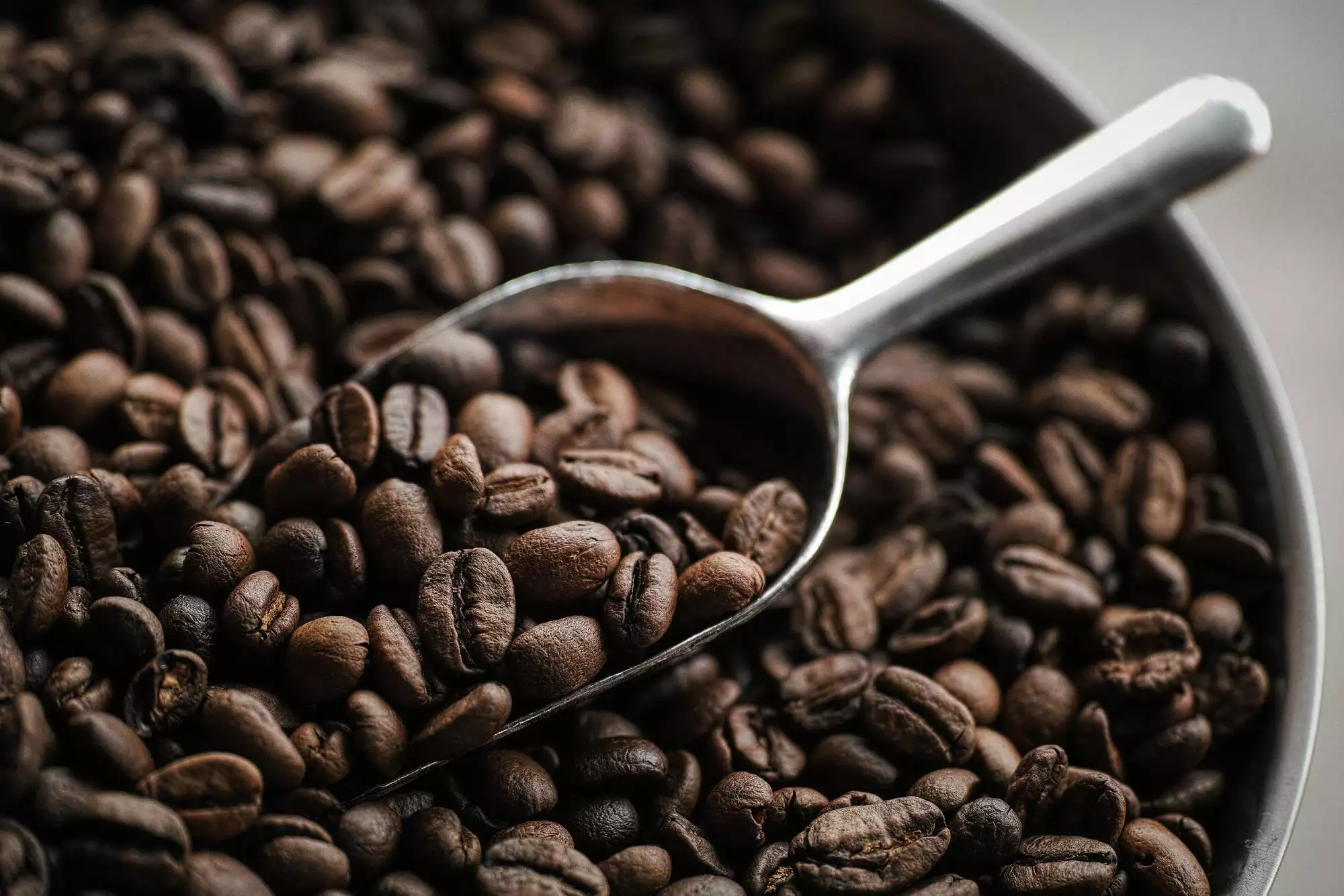 Mobile Coffee Shop | Bullyrun Coffee Llc | Massillon