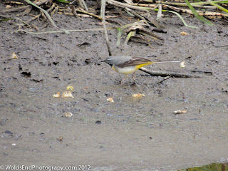 Landscape And Wildlife Photography | Michael Rushforth